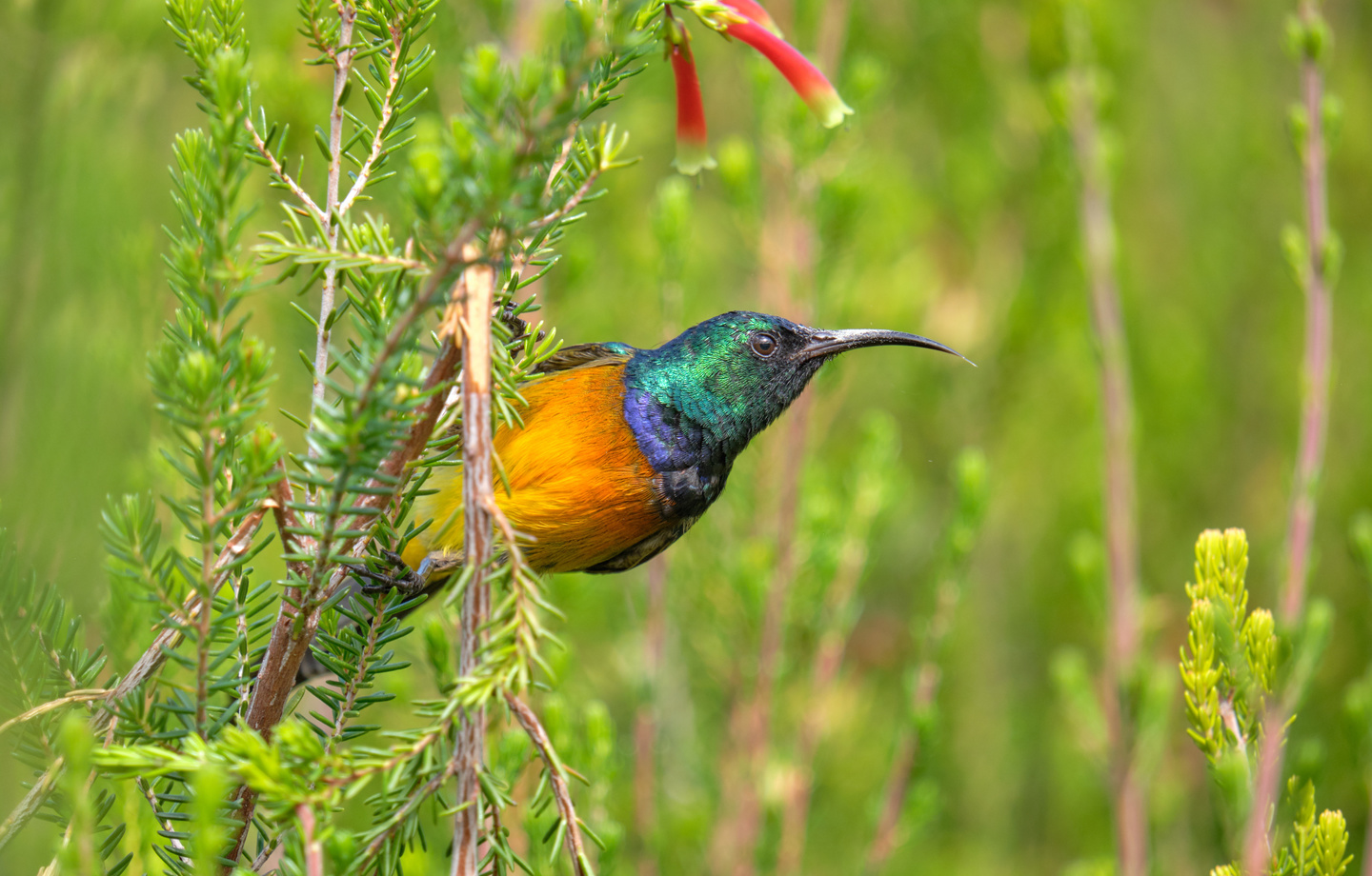 Behind the scenes of a Zindi Contest - Zindi