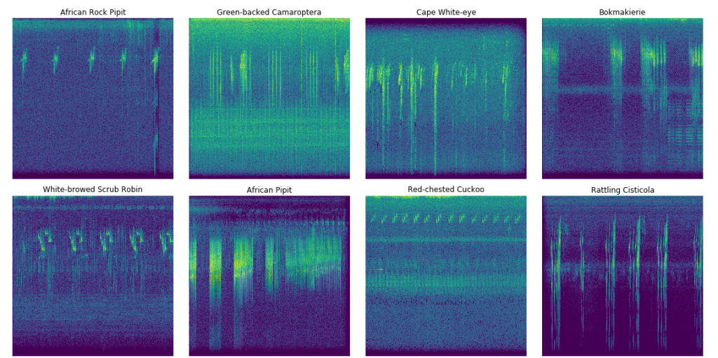 Behind the scenes of a Zindi Contest - Zindi